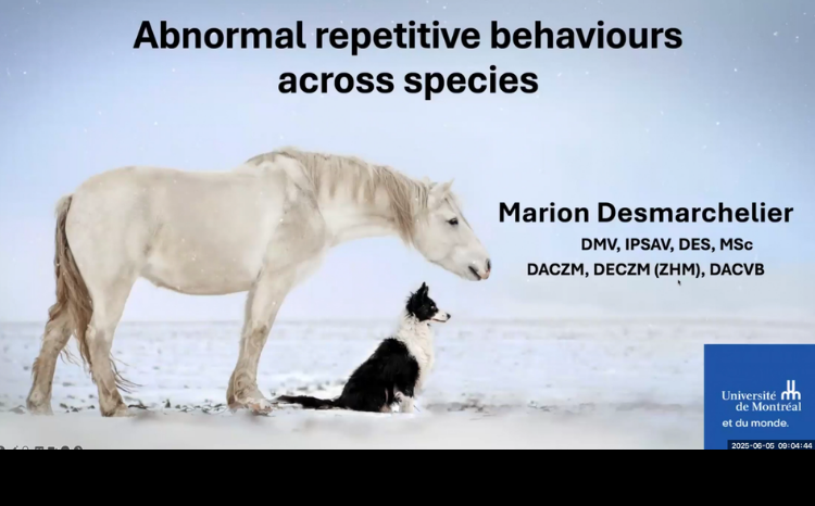 ANZCVS: All courses | ANZCVS